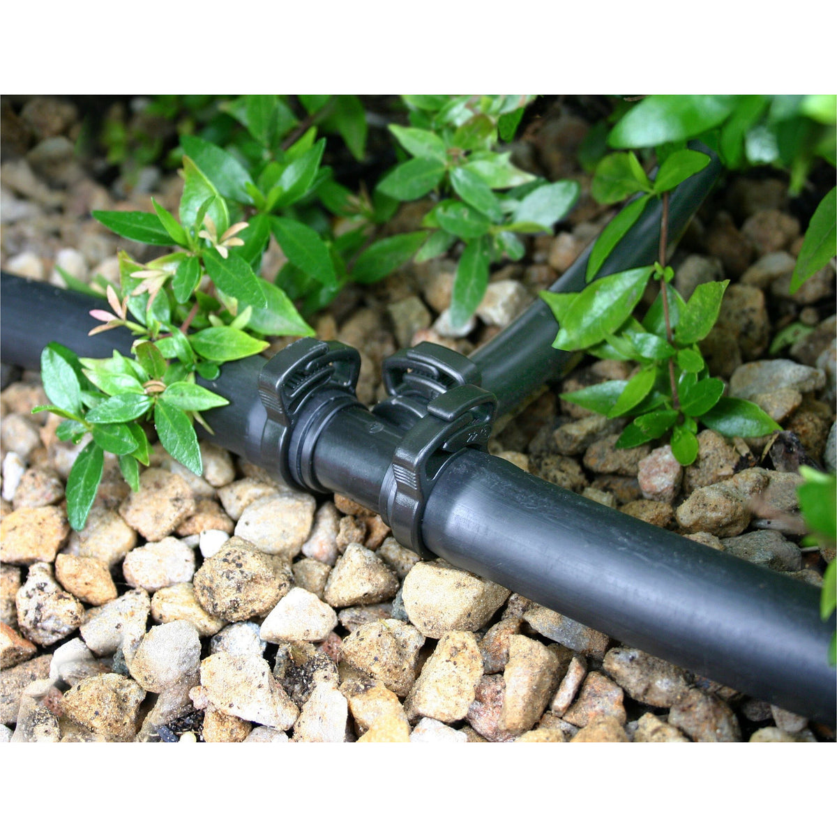 Dripline Ratchet Clip – Irrigation Supplies